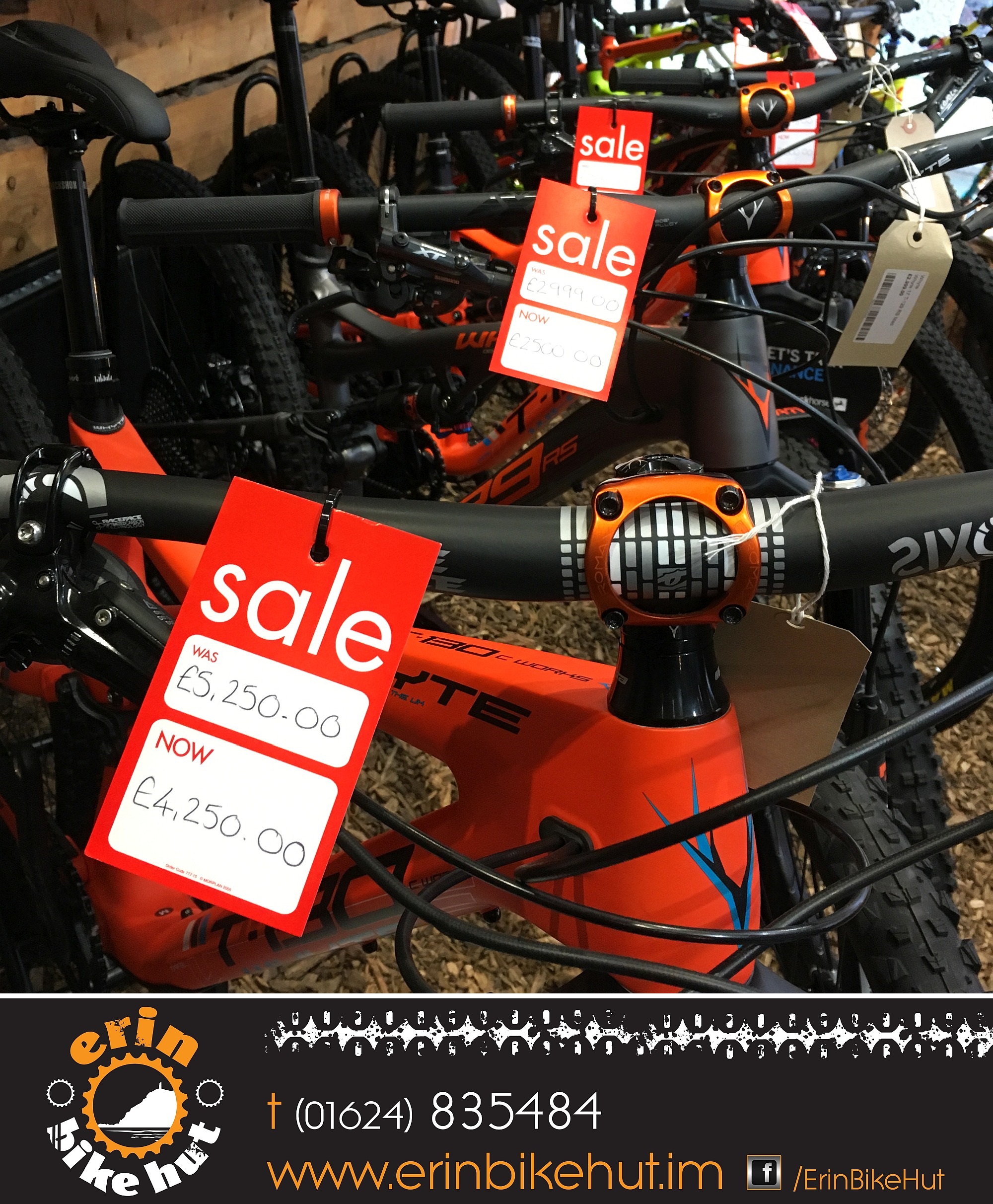 Road Bikes | Erin Bike Hut